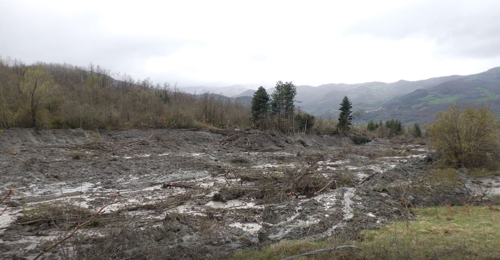 Cronaca Archivi - TRC Modena